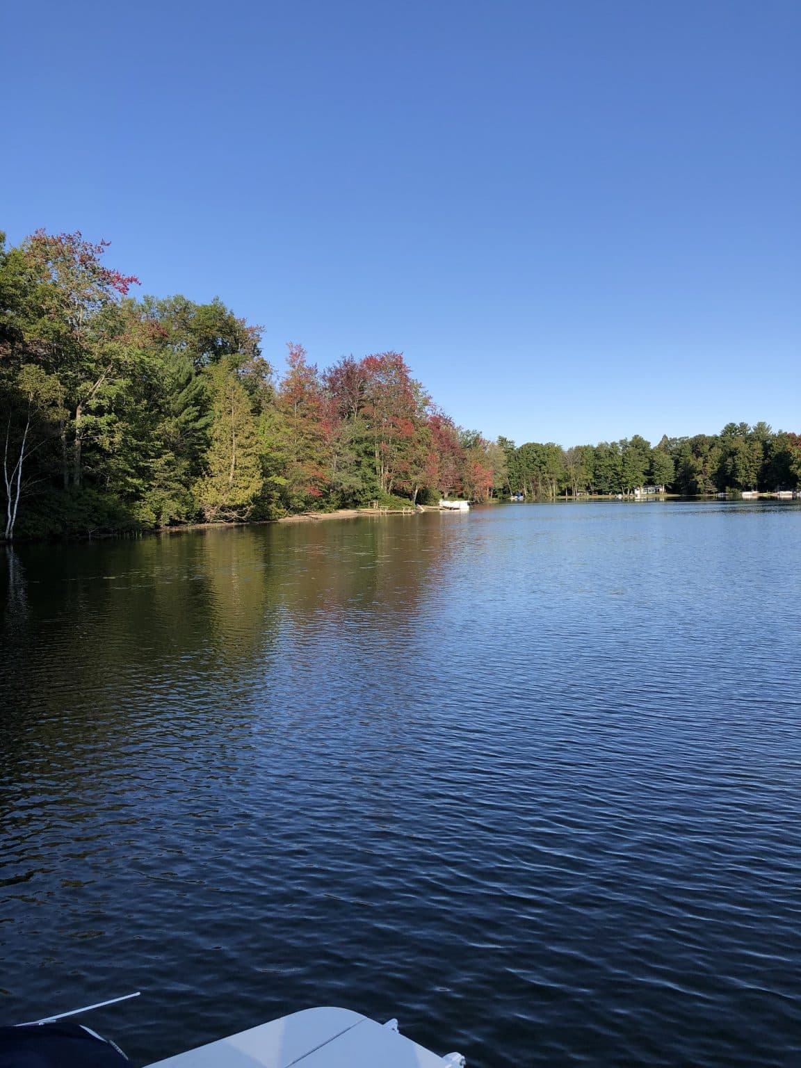 Michigan's 2020 Fall Foliage Forecast | Around Michigan