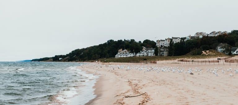 10 Reasons to Move to Michigan | Around Michigan